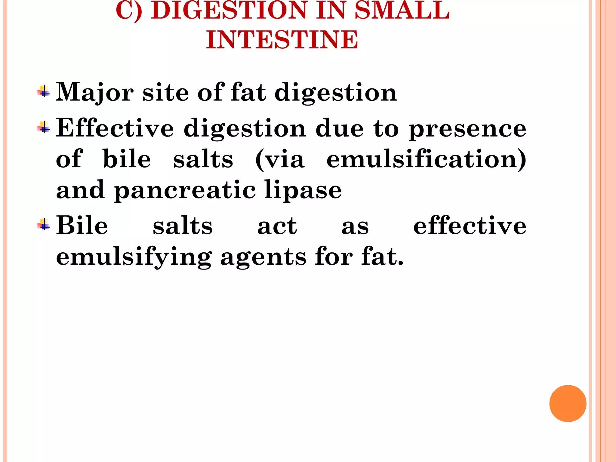 Digestion and absorption of lipids | PPT