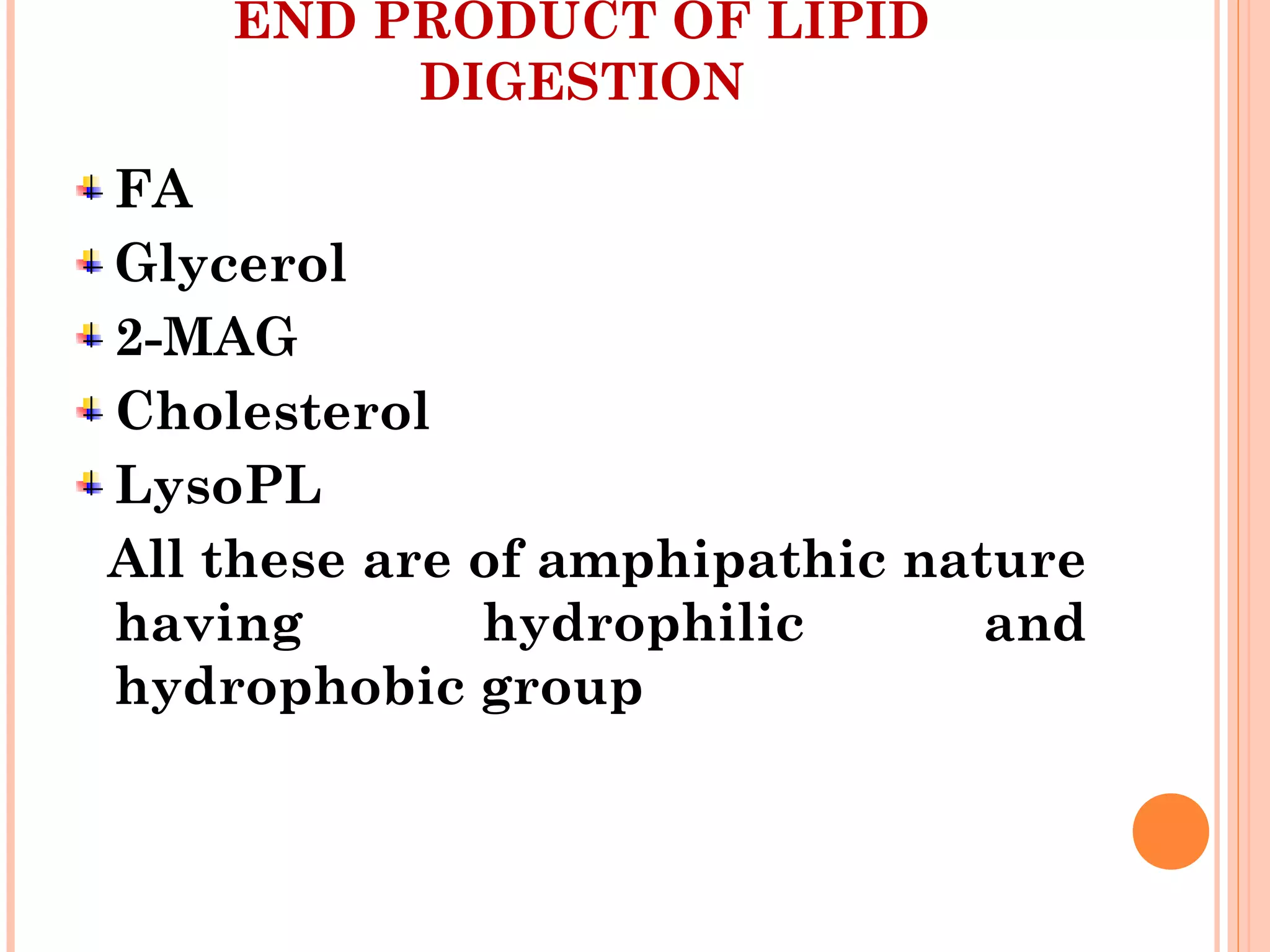 Digestion and absorption of lipids | PPT
