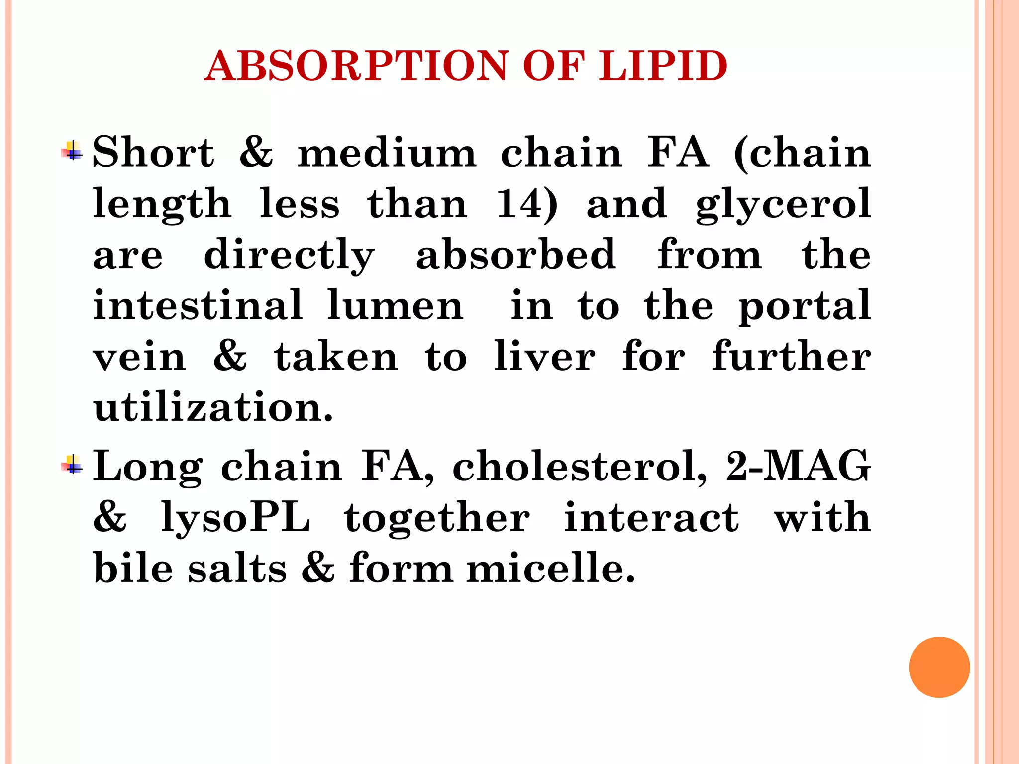 Digestion and absorption of lipids | PPT