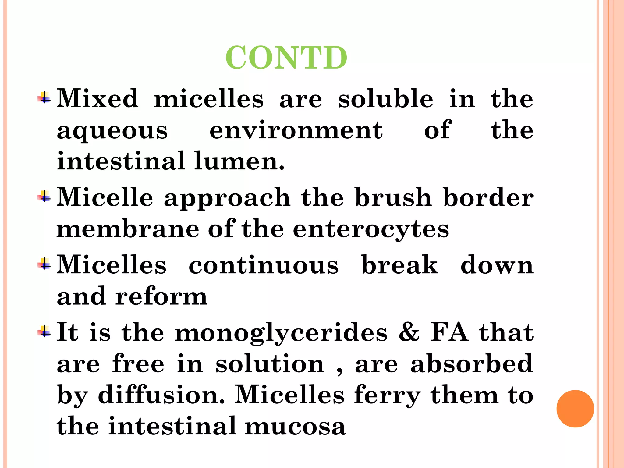 Digestion and absorption of lipids | PPT