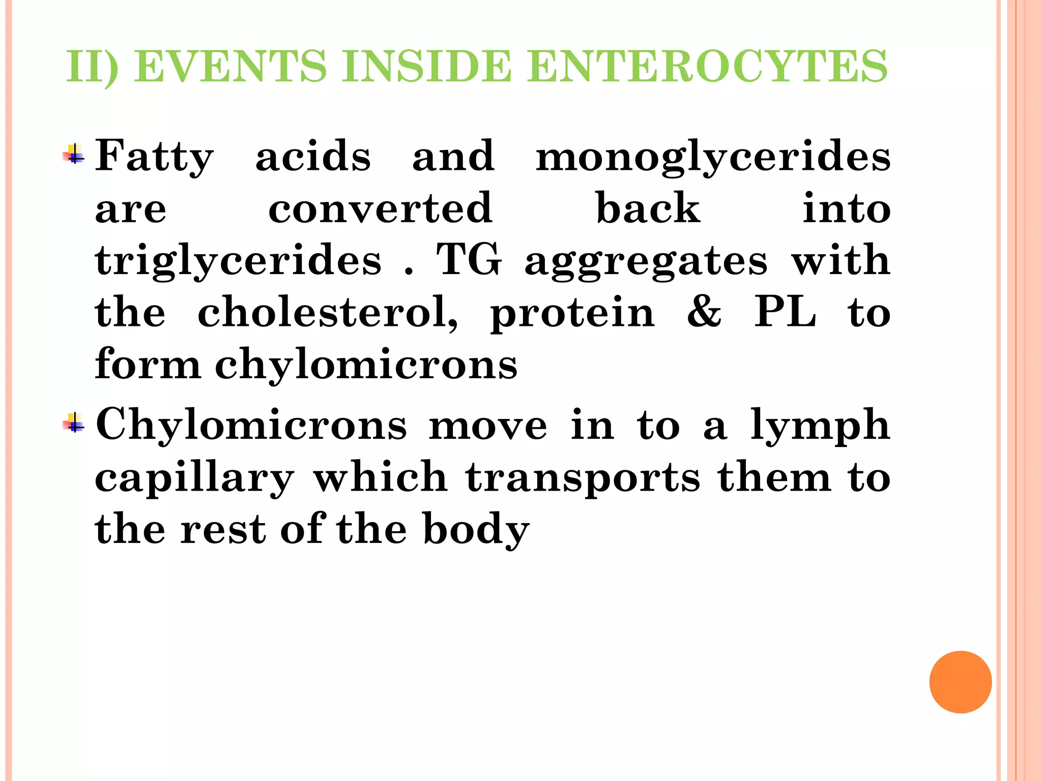Digestion and absorption of lipids | PPT