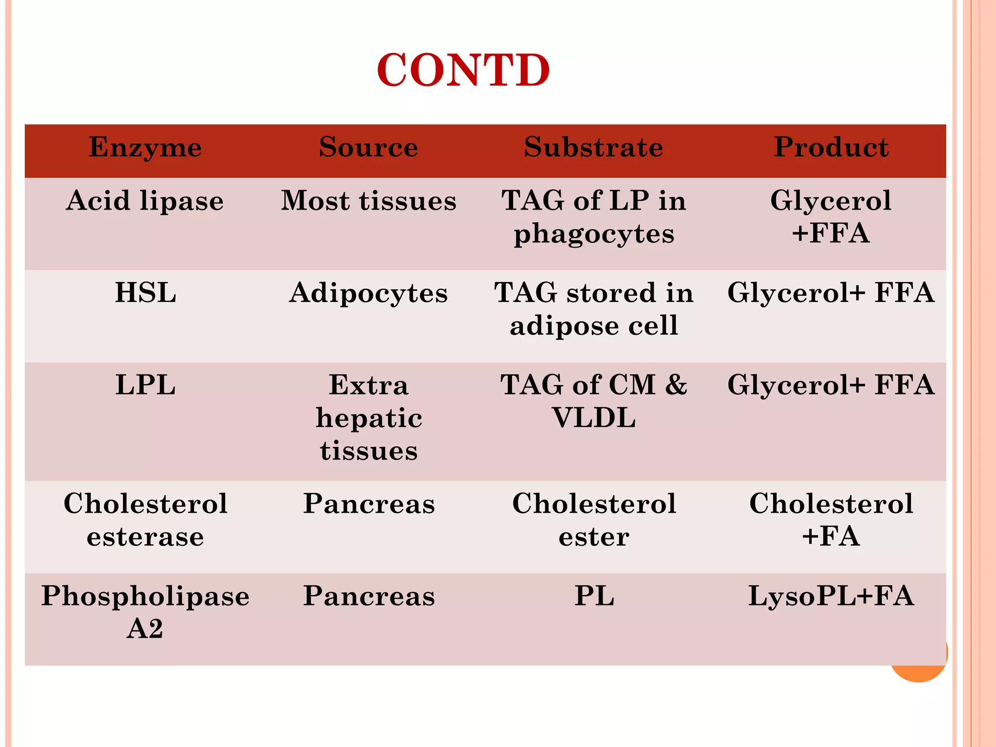 Digestion and absorption of lipids | PPT