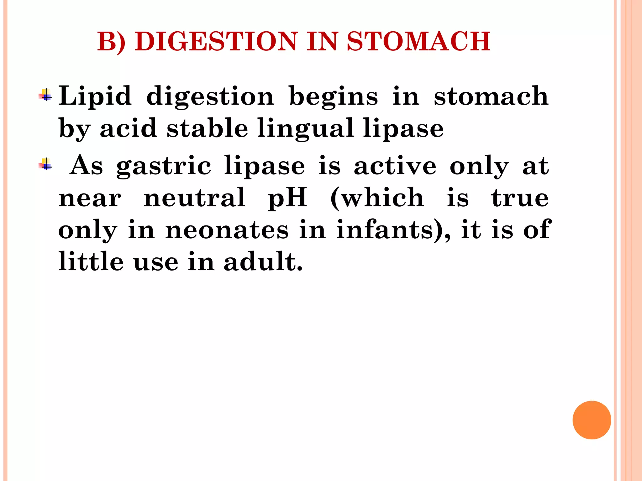 Digestion and absorption of lipids | PPT