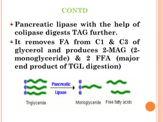 Digestion and absorption of lipids | PPT