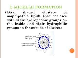 Digestion and absorption of lipids | PPT