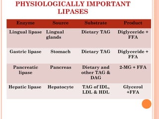 Digestion and absorption of lipids | PPT
