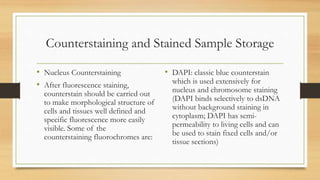 Immunohistochemistry description of the Affinity method | PPTX