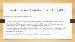 Immunohistochemistry description of the Affinity method | PPTX