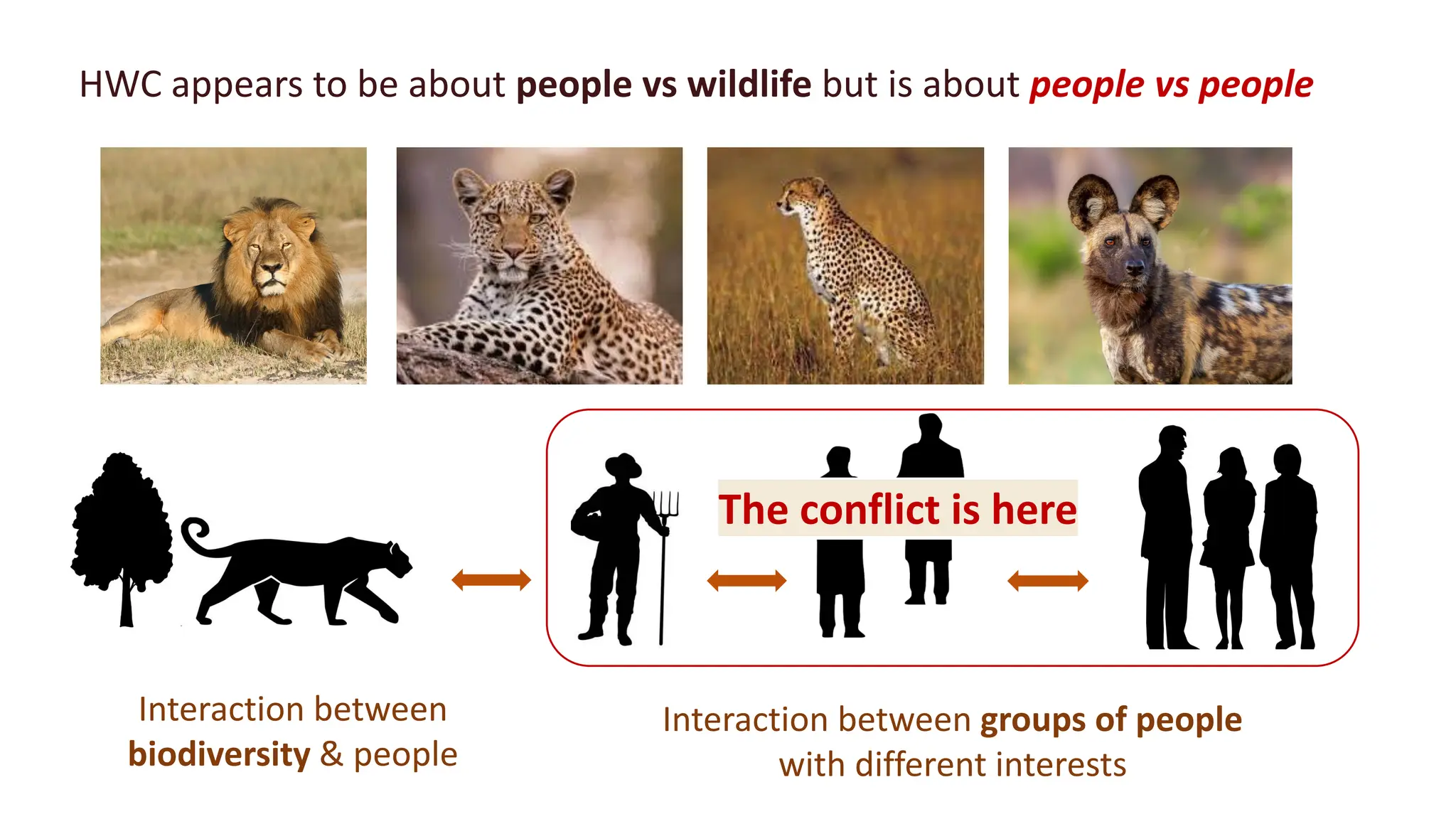 A presentation on MAN -ANIMAL CONFLIT. ppt | PPT