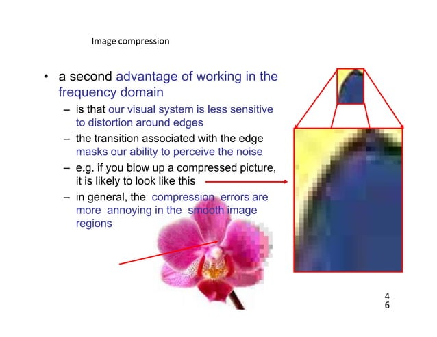 DIGITAL IMAGE PROCESSING - Day 4 Image Transform | PDF | Digital Audio | Computer Software and ...