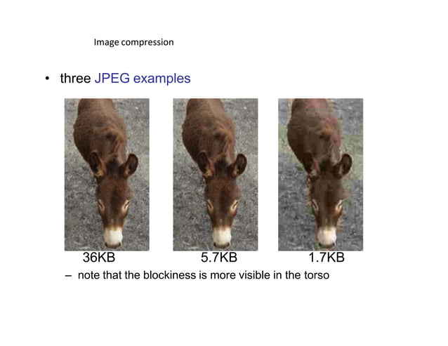 DIGITAL IMAGE PROCESSING - Day 4 Image Transform | PDF | Digital Audio ...