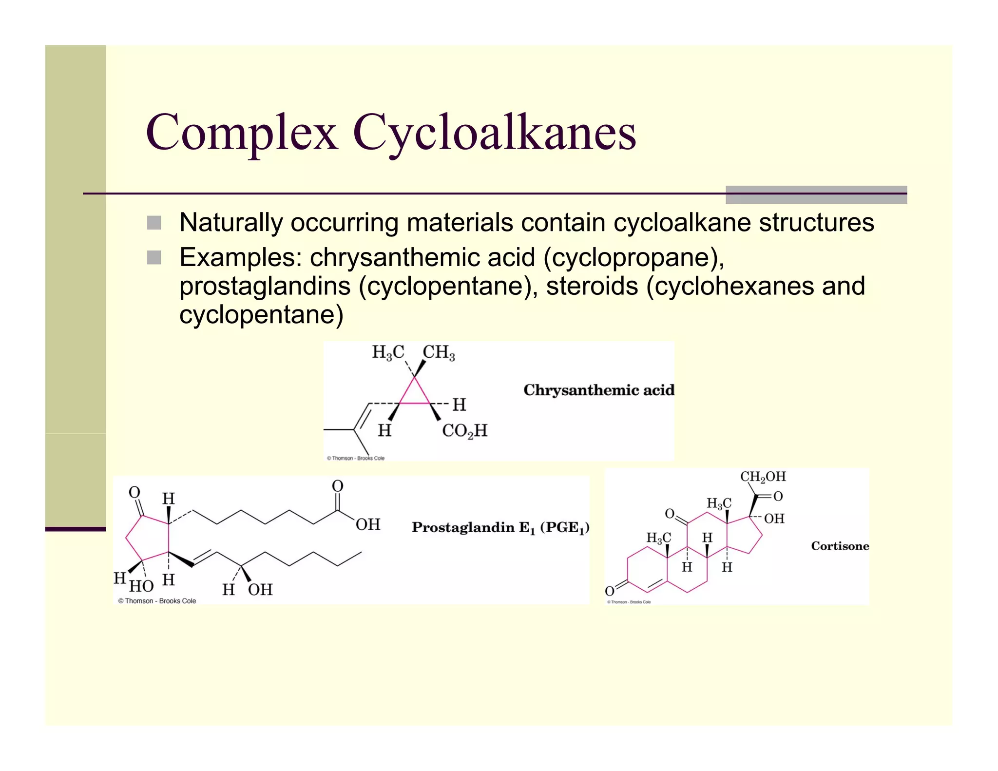 day 4 lecture.pdf