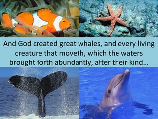 Creation - Day 5 | PPT