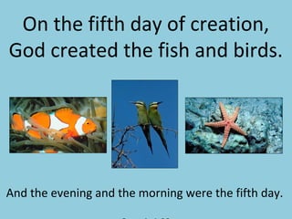 5th Day Of Creation