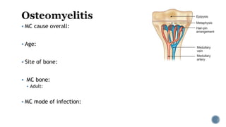 A brief review of osteomyelitis for board review | PPTX
