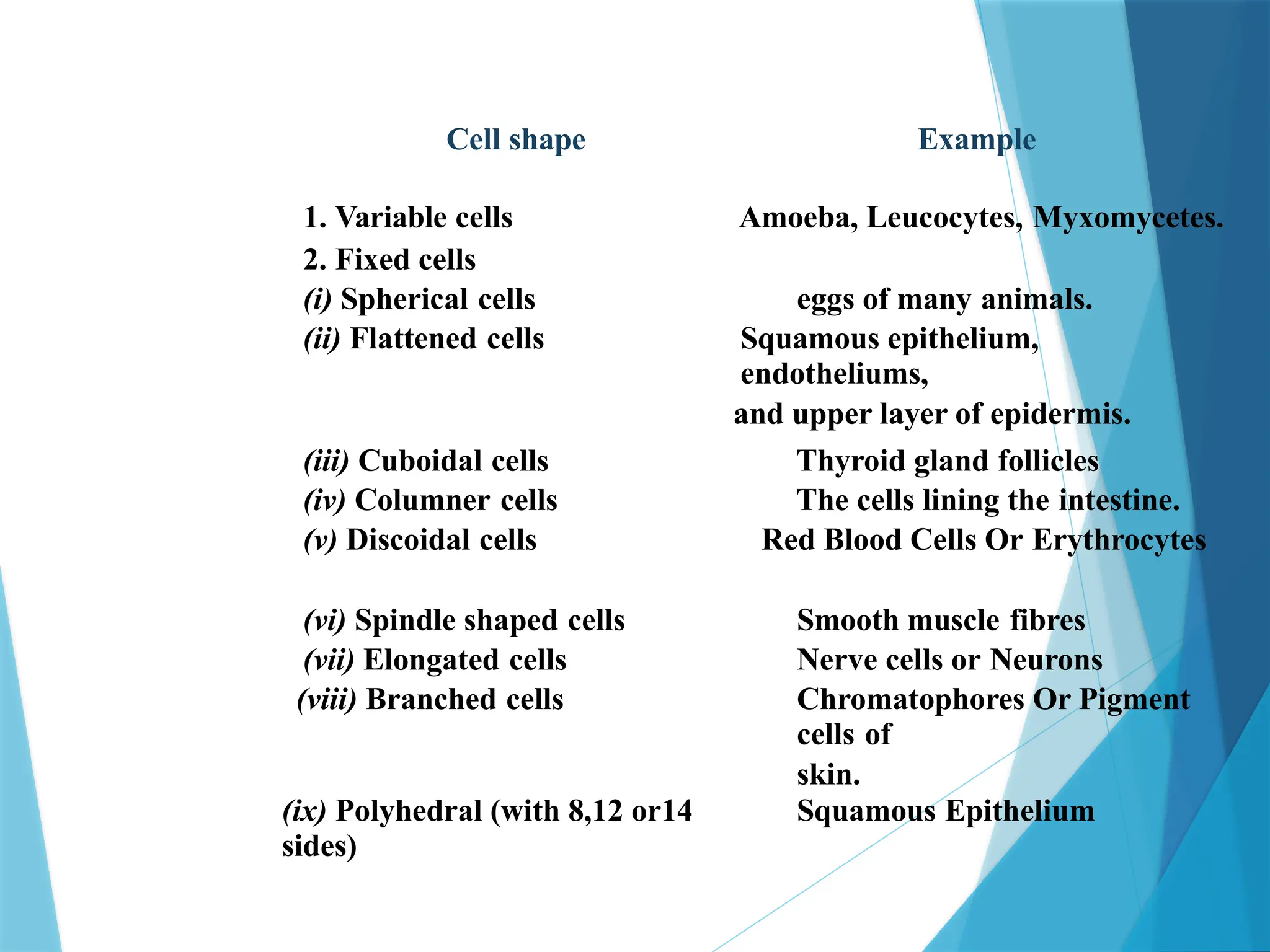 Day 5- Cell Diversity.pptx hahahahahahaha | PPTX