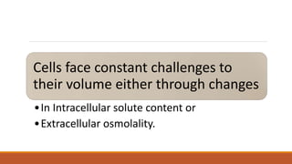 Day 6 b -P5bCONTROL OF ICF VOLUME (8f) 2.pptx