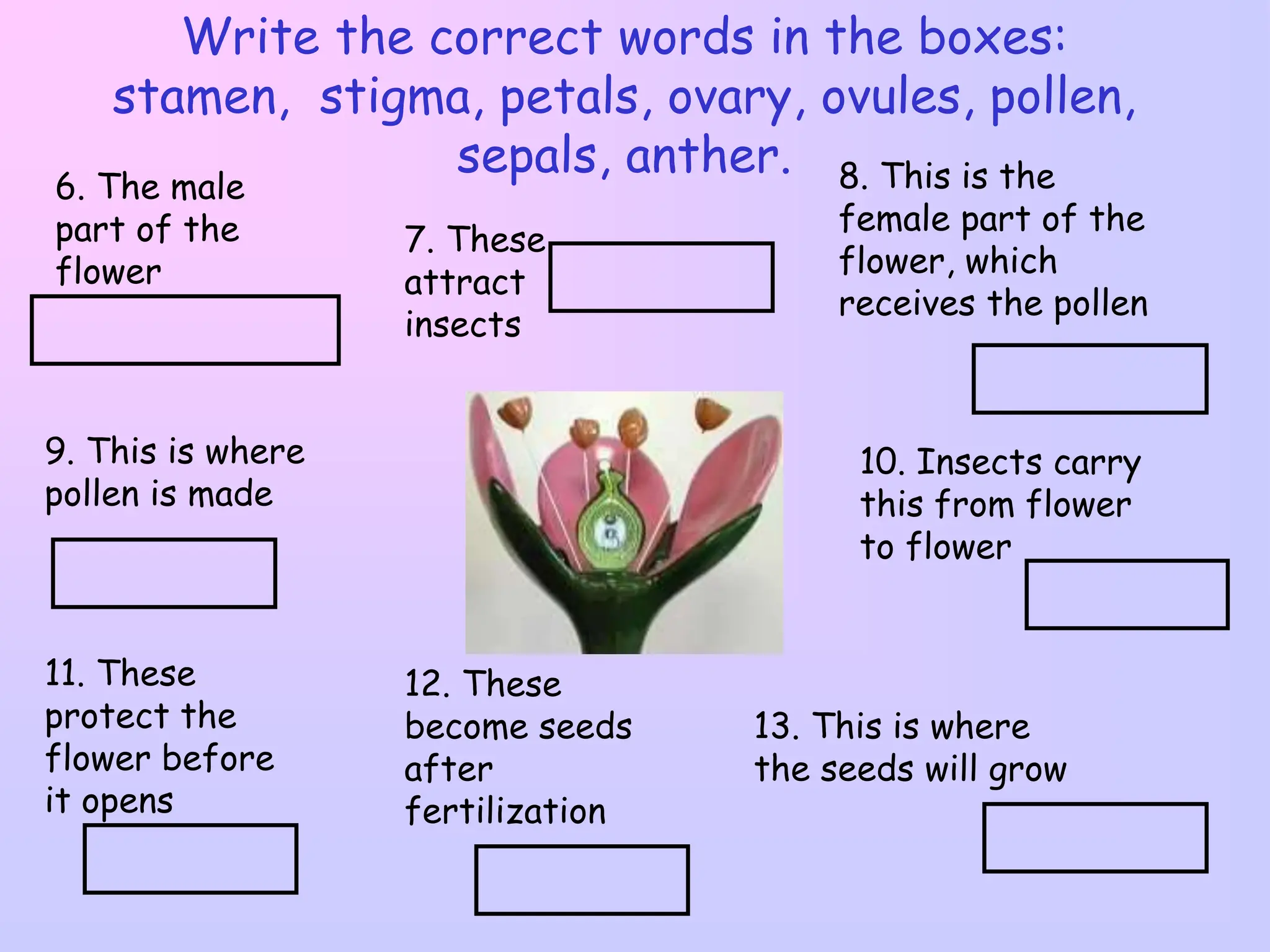 REPRODUCTIVE PARTS OF A FLOWER FOR GRADE 5 | PPT