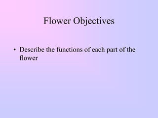 REPRODUCTIVE PARTS OF A FLOWER FOR GRADE 5 | PPT