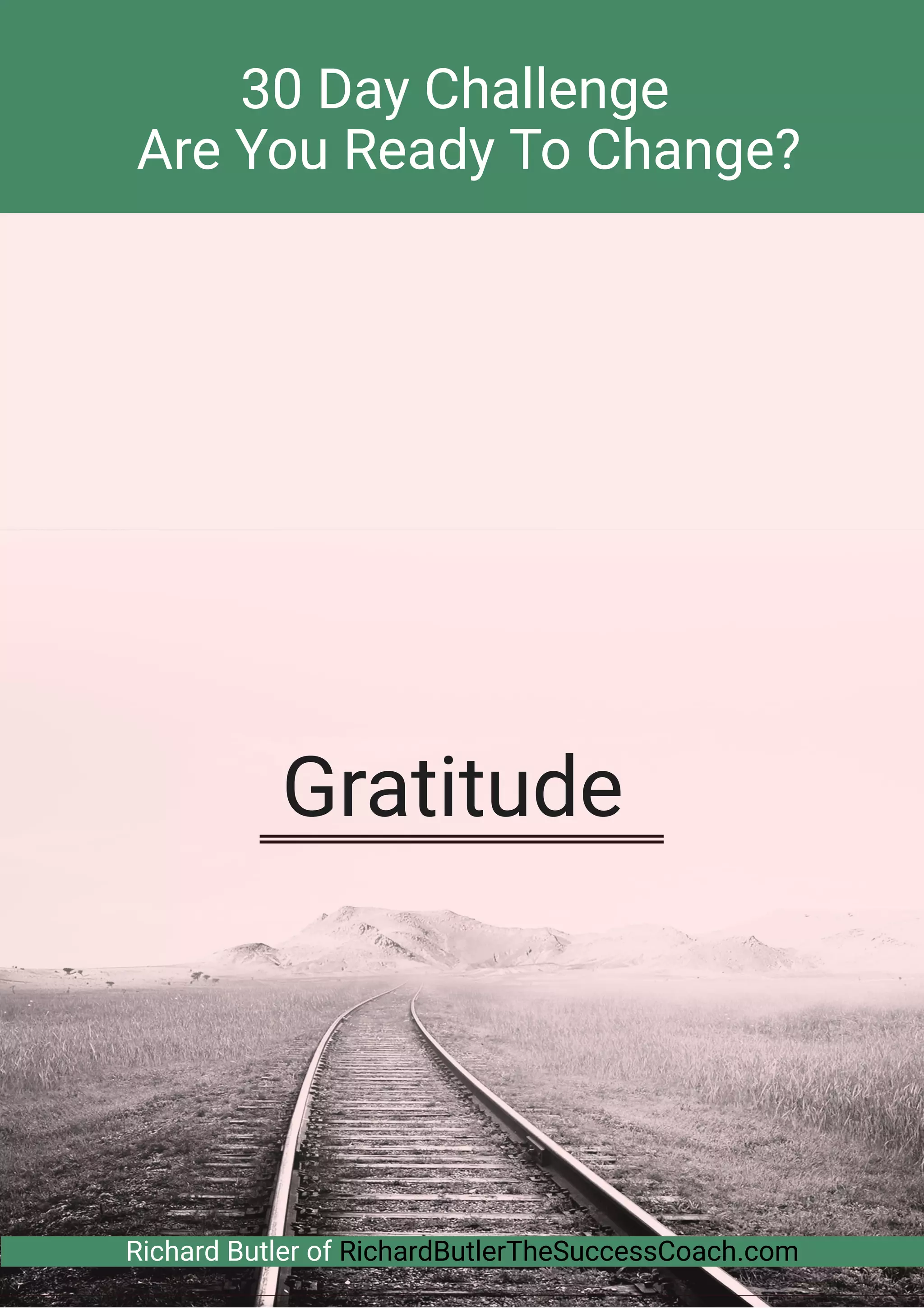 Day 7 - gratitude | PDF