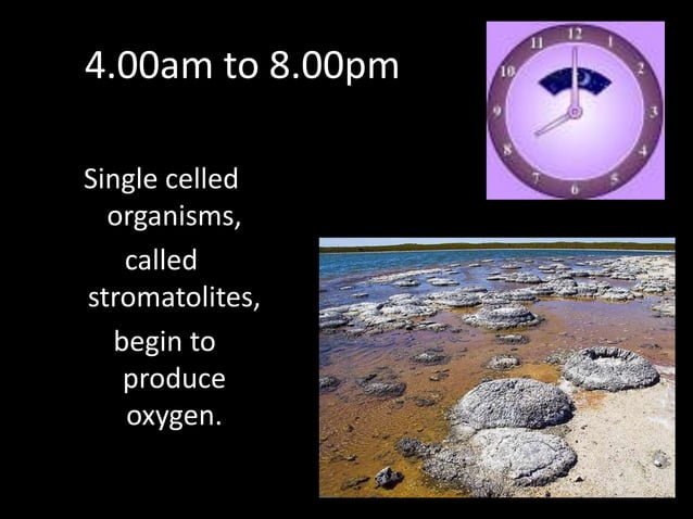 Day 7 powerpoint time on a clock | PPTX