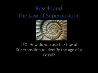 Day 7 superposition fossils | PPTX