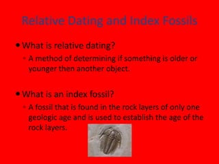 Day 7 superposition fossils | PPTX