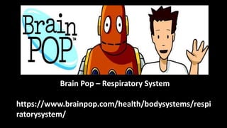 Day 9 - 11 - Human Body Systems - Respiratory and Circulatory Systems.pptx