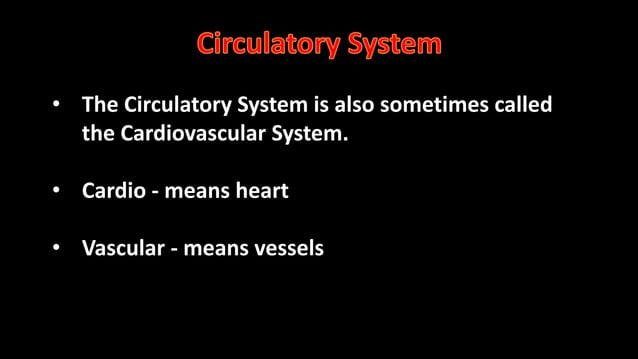 Day 9 - 11 - Human Body Systems - Respiratory and Circulatory Systems.pptx