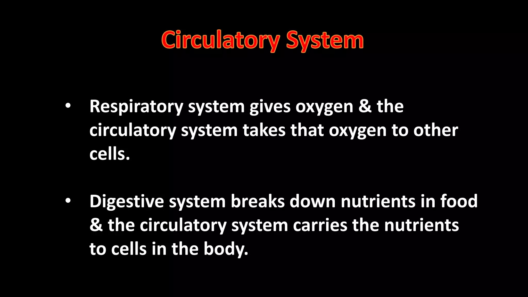 Day 9 - 11 - Human Body Systems - Respiratory and Circulatory Systems.pptx