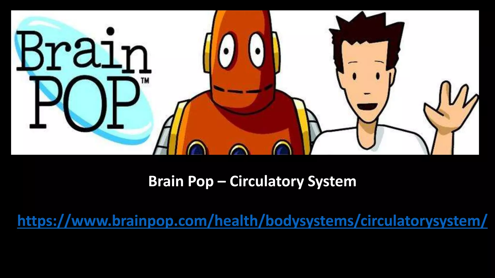 Day 9 - 11 - Human Body Systems - Respiratory and Circulatory Systems.pptx