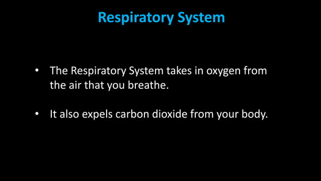 Day 9 - 11 - Human Body Systems - Respiratory and Circulatory Systems.pptx