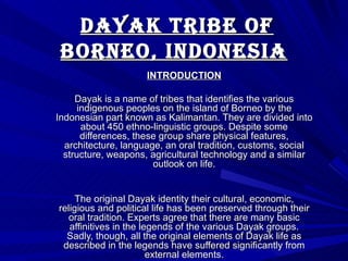 Dayak tribe of borneo, indonesia | PPT