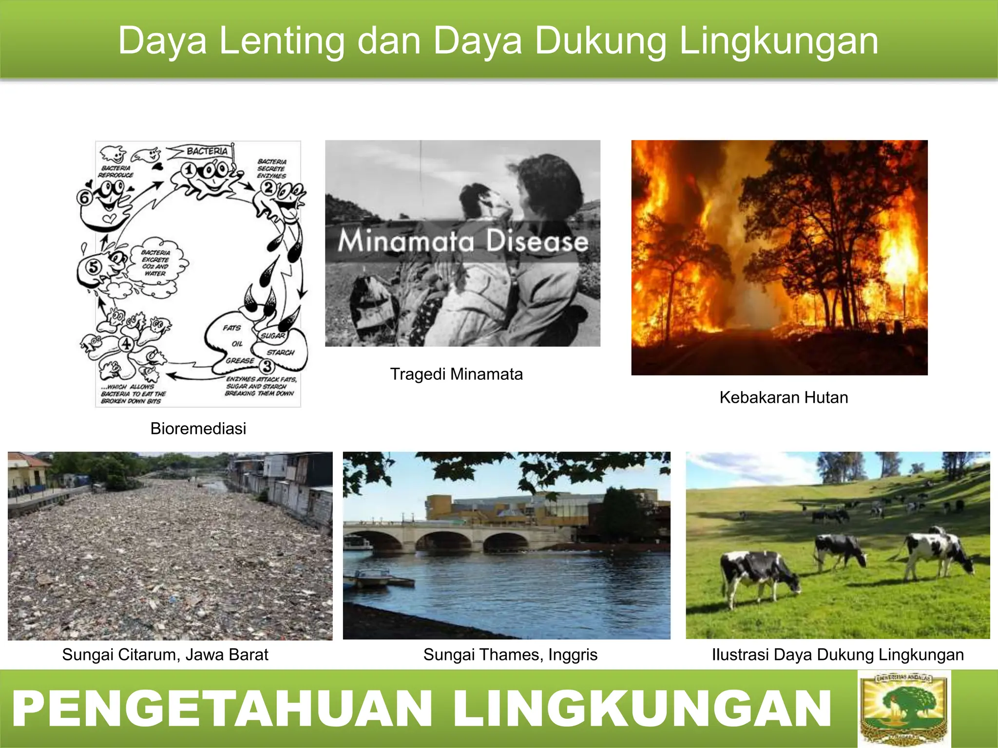 DAYA LENTING DAN DAYA DUKUNG LINGKUNGAN.pptx