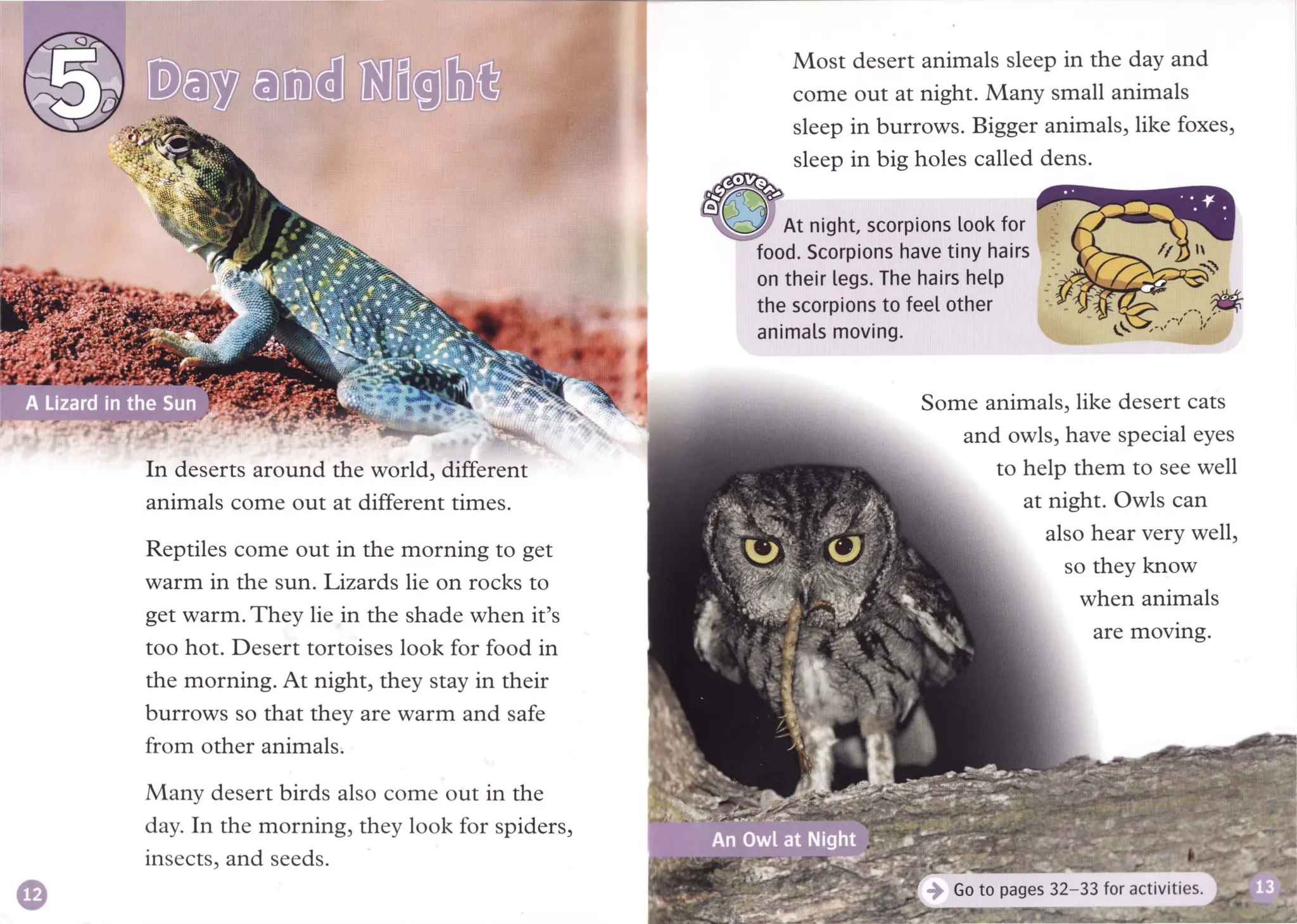 Day and Night - Reading + Worksheet of the reading | PPT