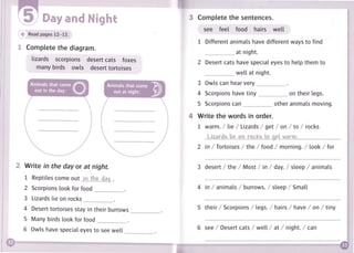 Day and Night - Reading + Worksheet of the reading | PPT