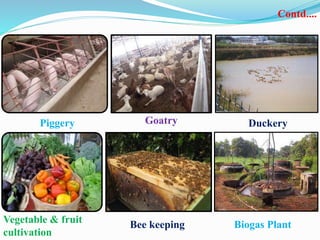 “Doubling of Farmer’s Income by Farming System Approach for Food ...
