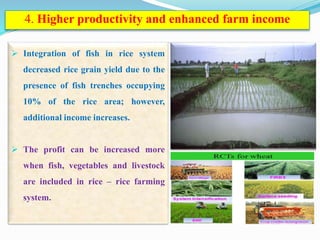 “Doubling of Farmer’s Income by Farming System Approach for Food ...