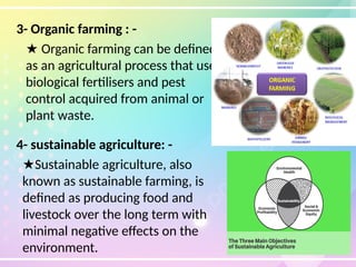 Agriculture methods and agriculture process | PPTX