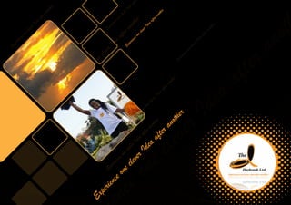 Daybreak Company Profile General layout and design | PPT