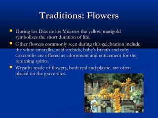 Day of the dead ppt | PPT
