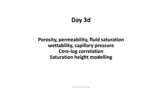 Days 3d porosity , permeability, fluid saturation | PPT