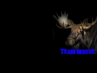 Days 5 11 team moose | PPT