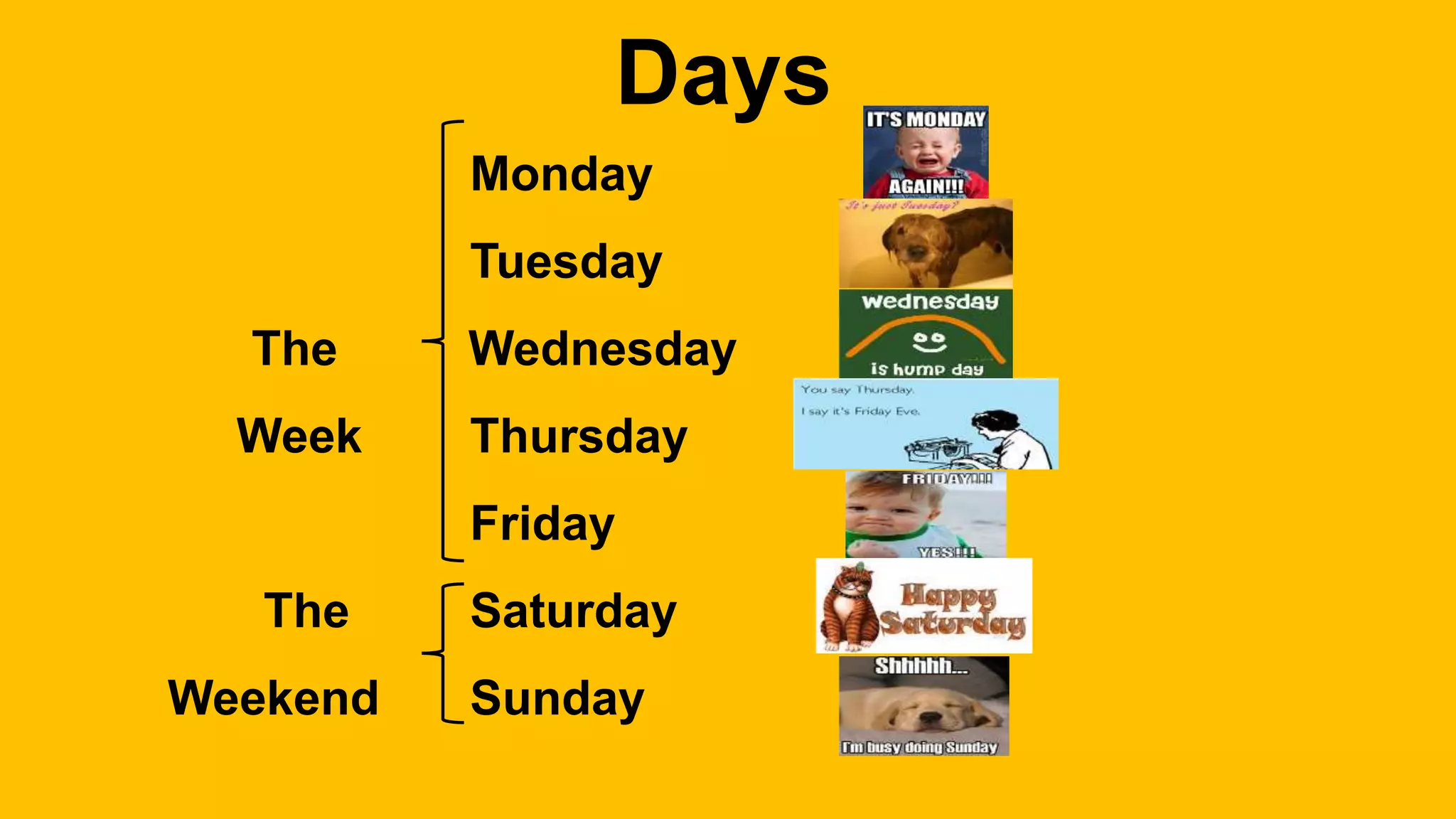 Days, Months and Seasons | PPTX