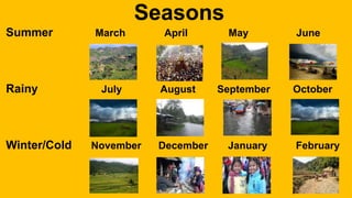 Days, months and seasons | PPTX