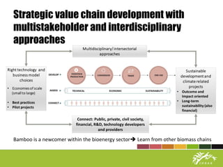 Key policy factors necessary for the upscaling of bamboo for bioenergy ...