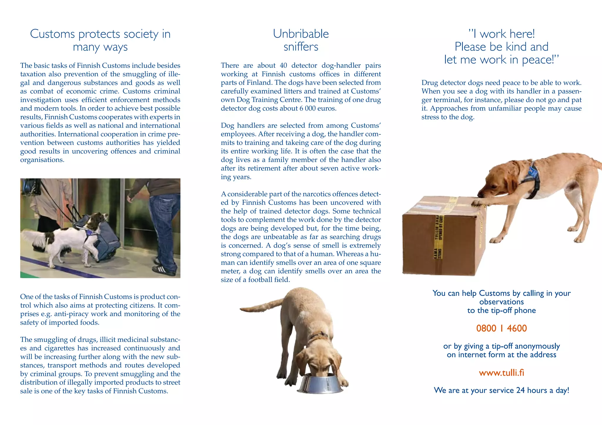 Drug_detector_dogs_08 | PDF