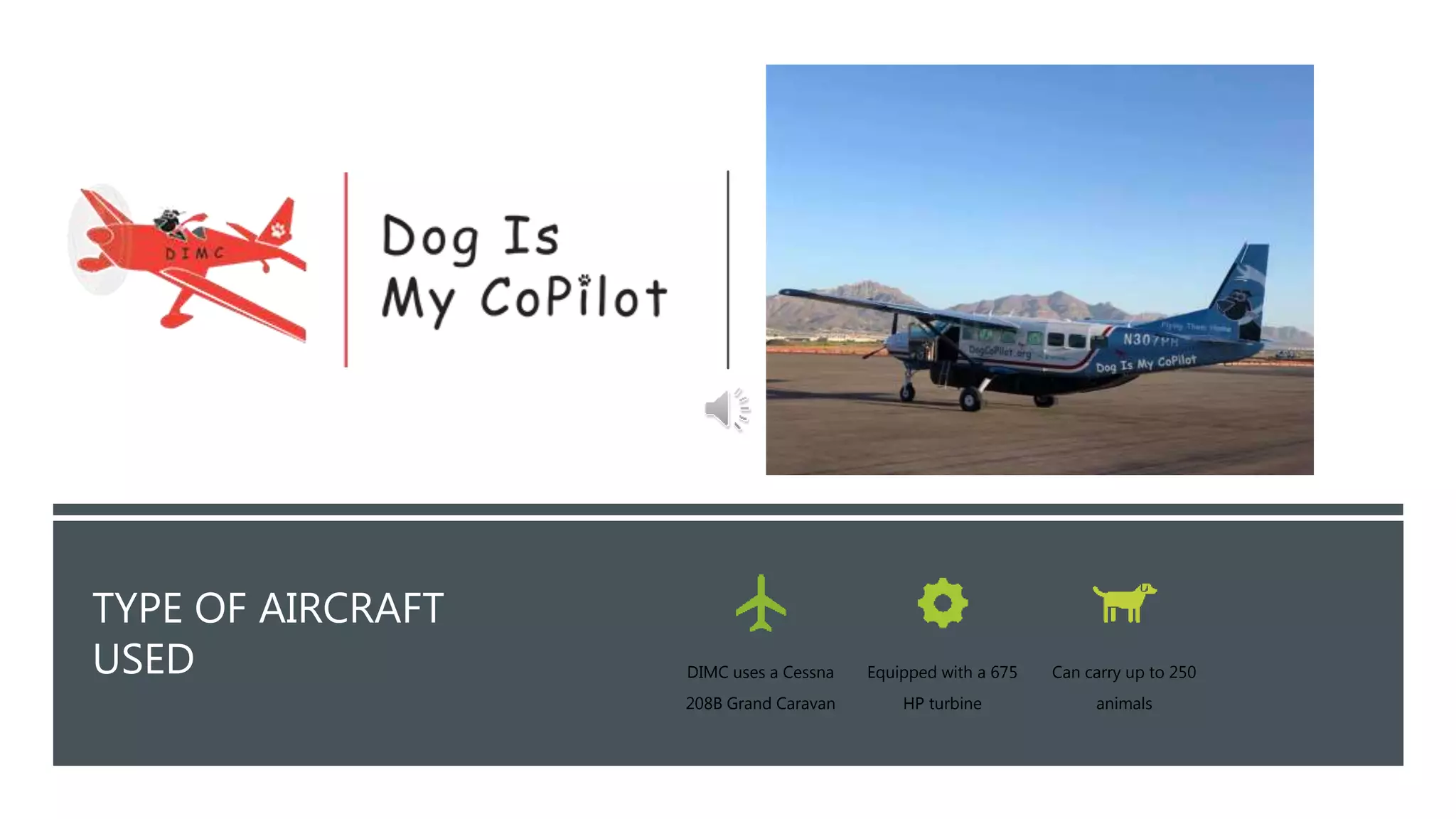 Dog is my Copilot | PPT