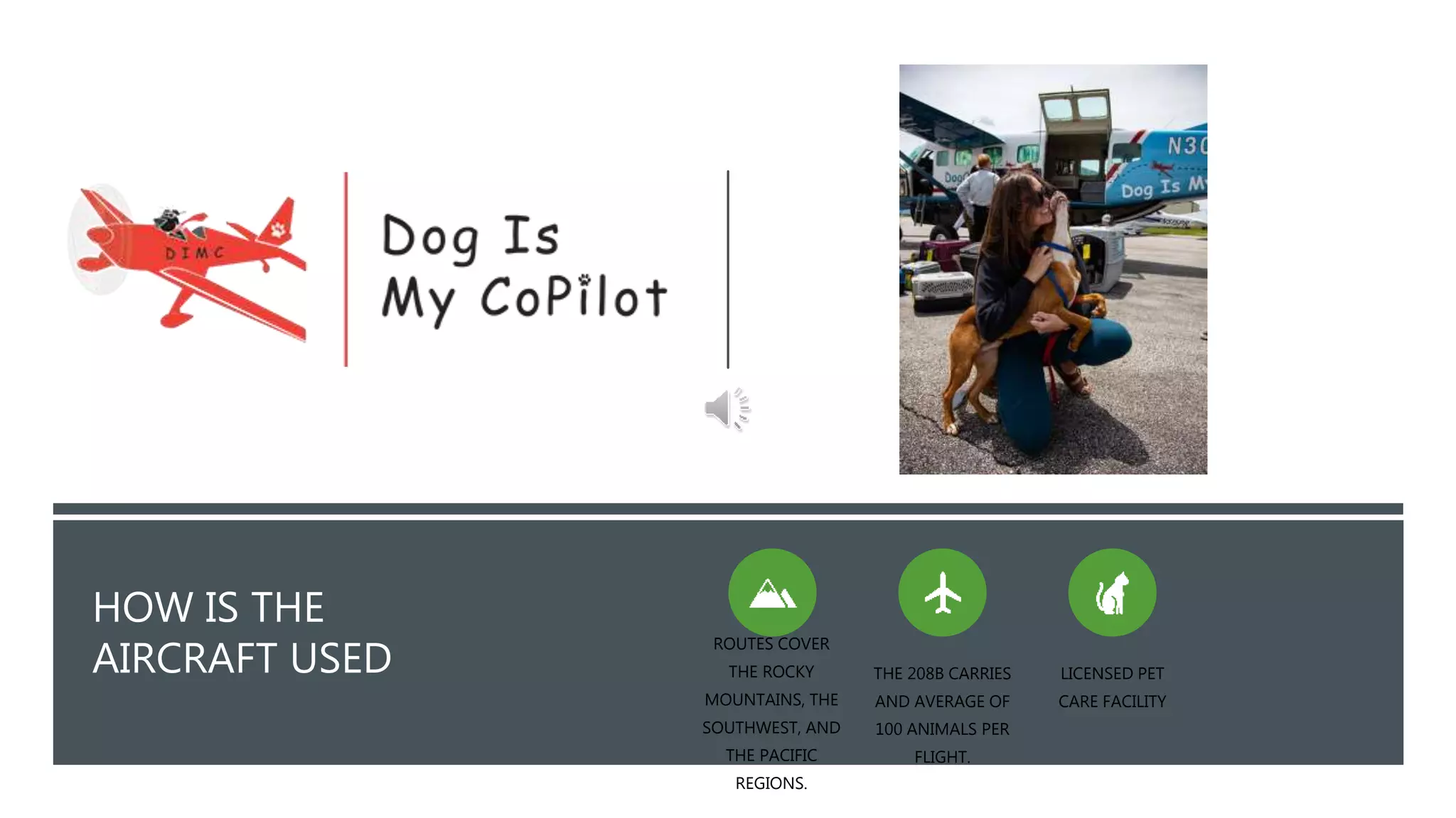 Dog is my Copilot | PPTX