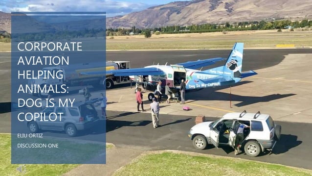 Dog is my Copilot | PPT